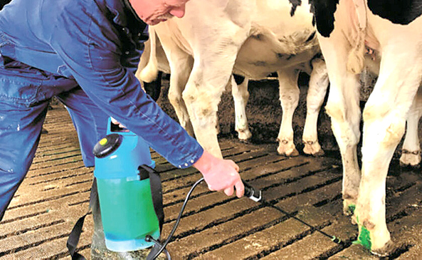 Intra Hoof-fit Spray – Intracare