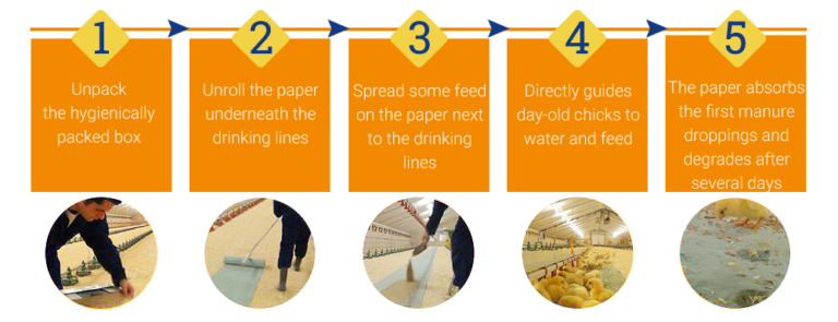 Intra Chickpaper – Intracare