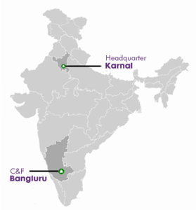 Global approach – Intracare